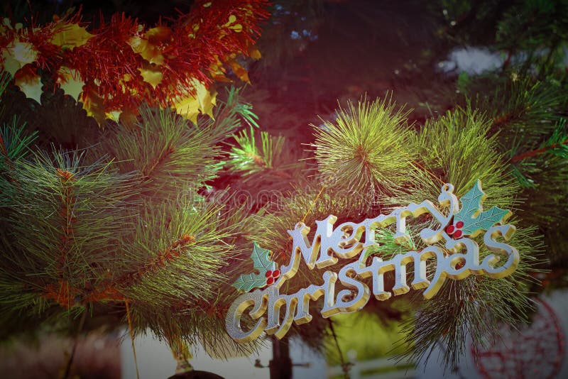 Merry Christmas Sign Hanging on the Christmas Tree. Stock Image - Image ...