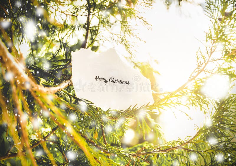 Merry Christmas text stock photo. Image of torn, pine - 63112032
