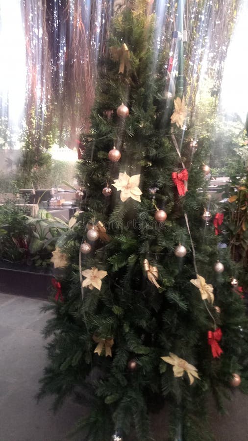 Merry Christmas Tree Decorating in My Hotel Stock Image - Image of ...