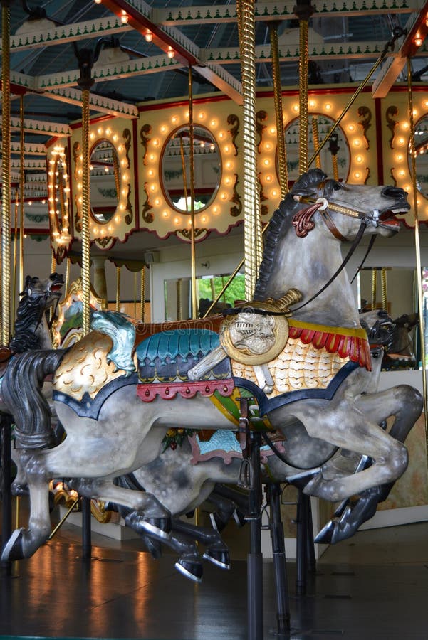 Lights of the Amusement Park Carnival Merry Go Round with Night Lights ...