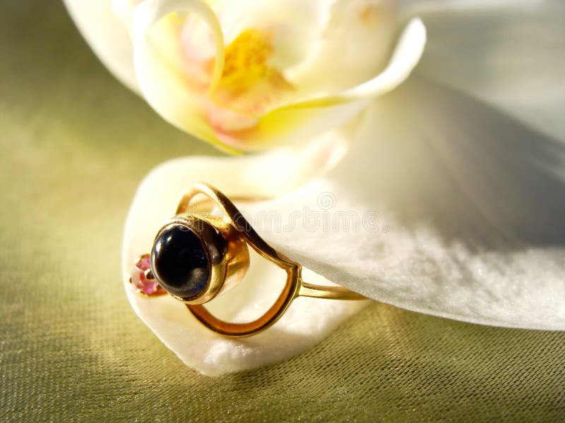 Merry me stock photo. Image of love, celebrate, beauty - 12701616