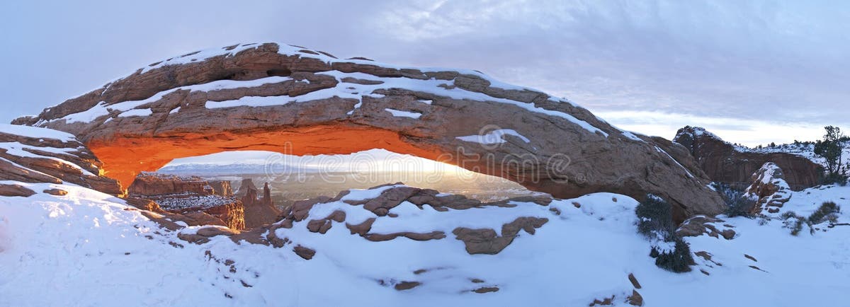 9,395 Back Arch Pawg Stock Photos - Free & Royalty-Free Stock Photos ...