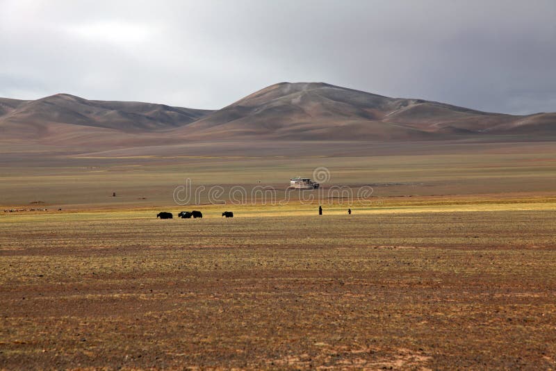 Meseta Tibetana Del Norte Selincuo Imagen de archivo - Imagen de azul ...