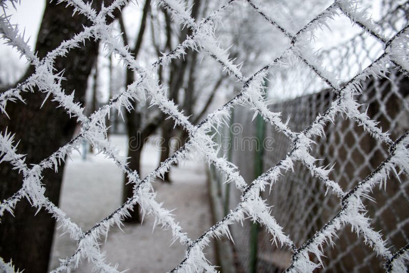Mesh Fence in Ice in Winter Stock Image - Image of metal, cold: 266059883