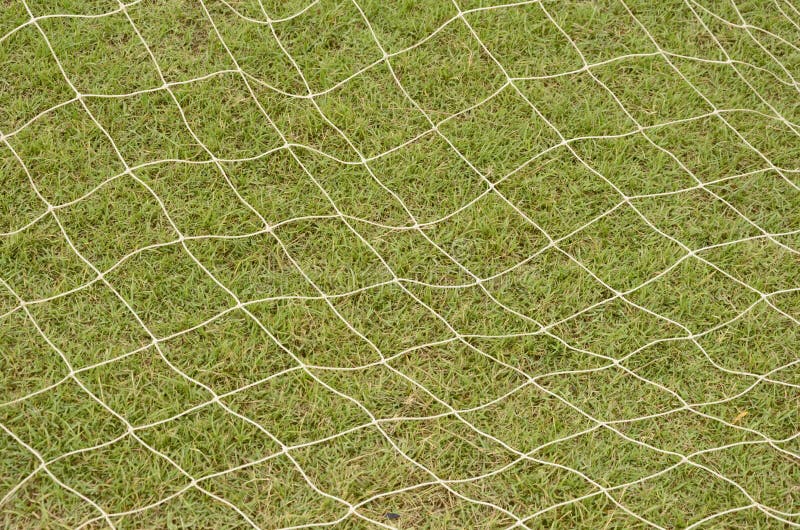Mesh and green grass stock image. Image of natural, outdoor - 58801499