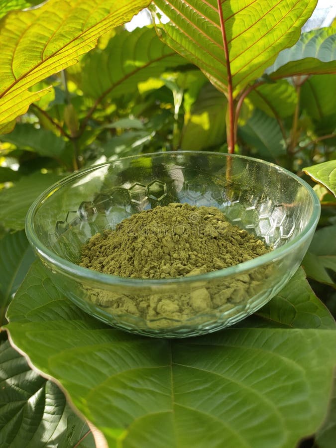 200 Mesh Kratom Powder Super Tiny Powder Mitragyna Speciosa on the ...