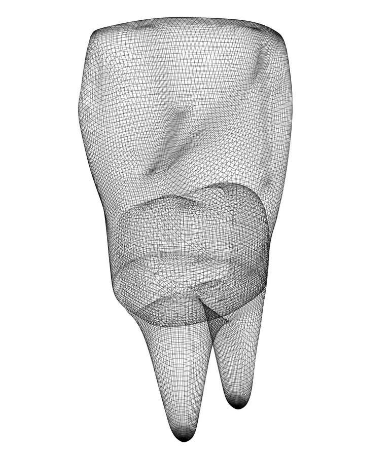 Mesh Model of Tooth. 3d Illustration Stock Illustration - Illustration ...