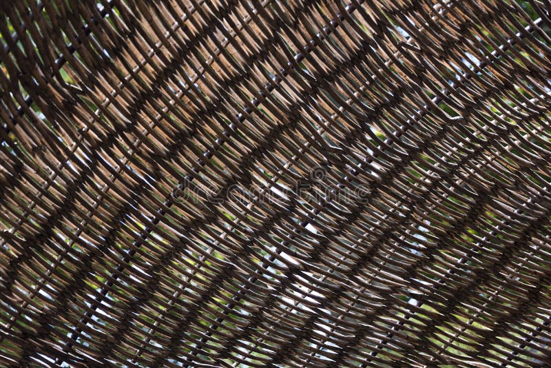 Mesh, Net, Pattern, Texture Picture. Image: 117788878