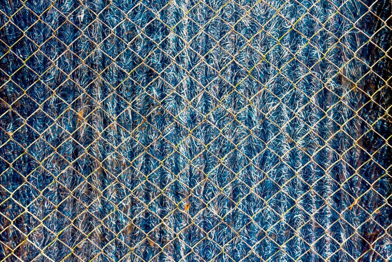 Mesh netting stock image. Image of texture, grid, line - 44026781