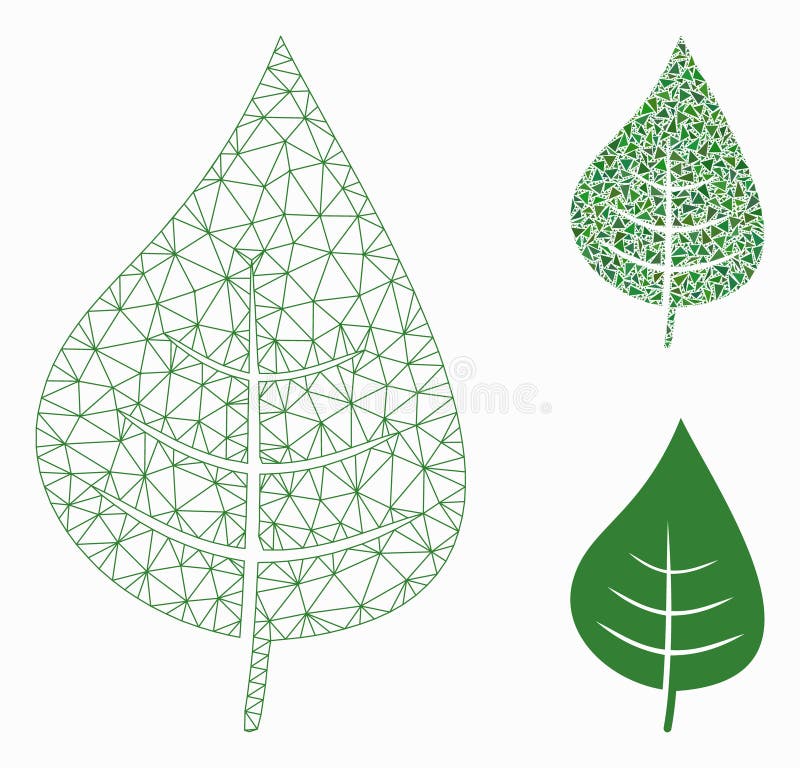 Plant Leaf Vector Mesh Wire Frame Model and Triangle Mosaic Icon Stock ...