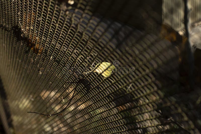 Mesh Steel Texture. Grid in Sunlight Stock Photo - Image of hole ...