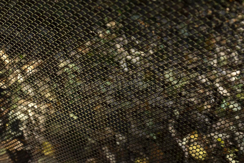 Mesh Steel Texture. Grid in Sunlight Stock Image - Image of protection ...