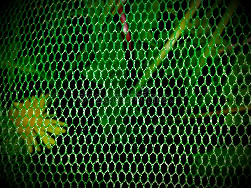 Mesh texture stock photo. Image of bright, herbs, texture - 95064124