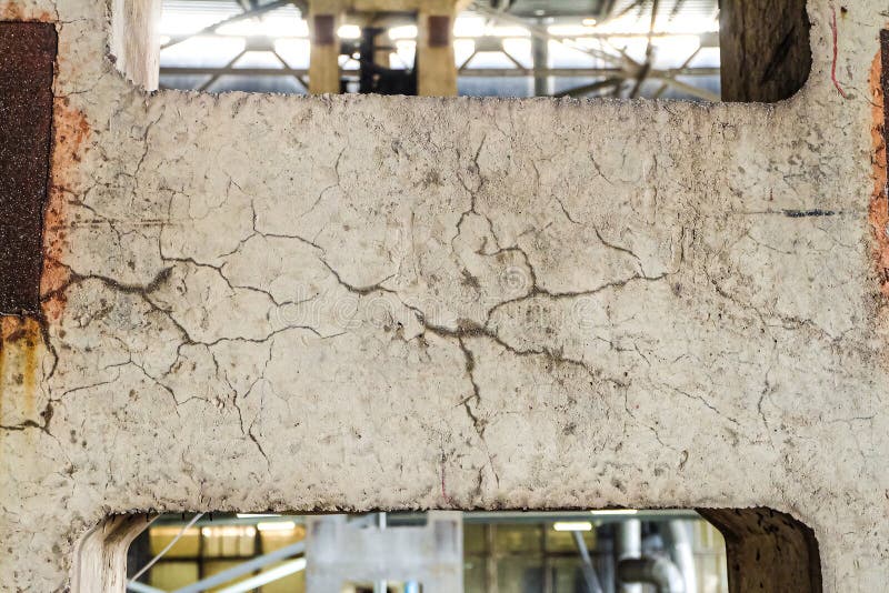 Mesh of Wet Cracks on the Surface Two-branch Column Stock Image - Image ...