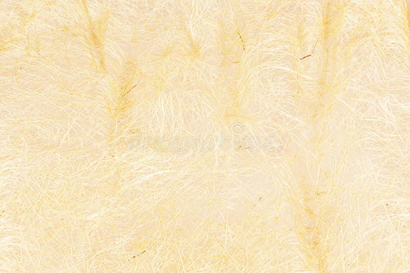 Mesh Wood Texture for Bacground Stock Photo - Image of bamboo, surface ...