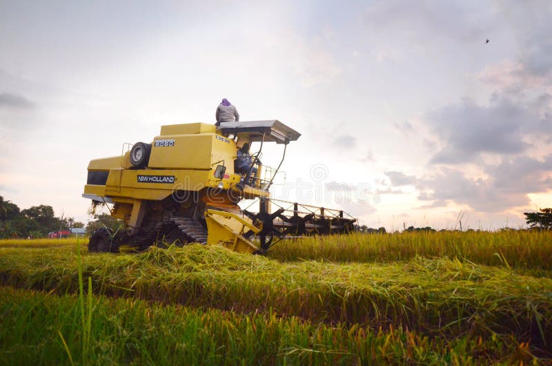 Mesin padi editorial photo. Image of padi, mesin, paddy - 99111621