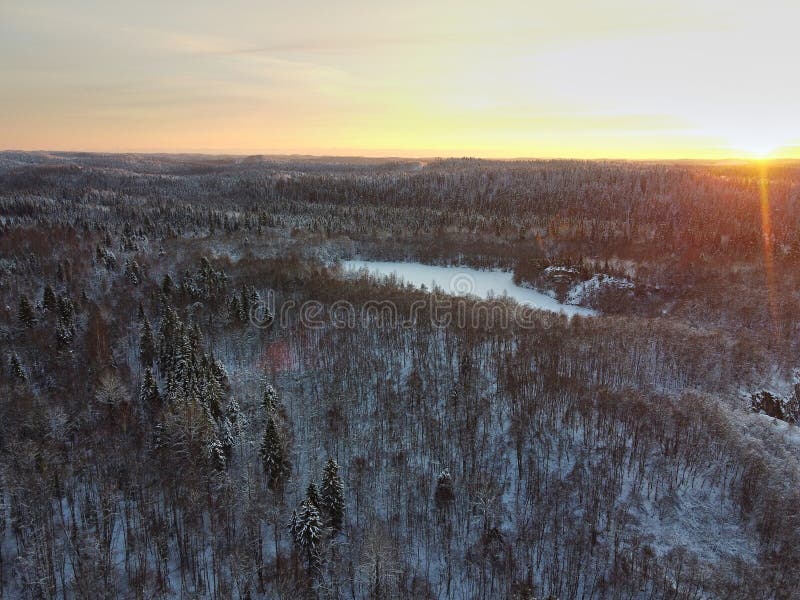 The Mesmerizing Beauty of a Winter Forest from a Bird S Eye View in ...
