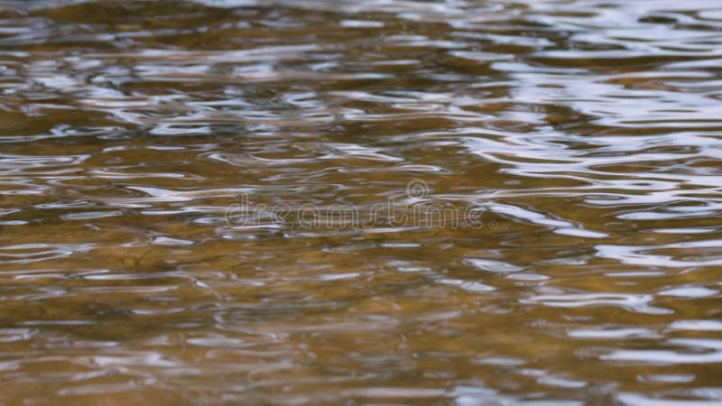 Slow Motion Water Patterns, Abstract Movement and Textures Stock Video - Video of video, nature ...