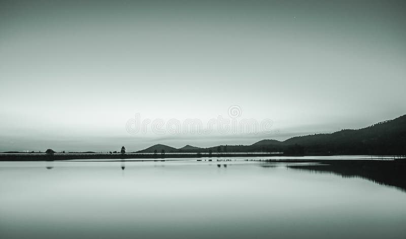 Gray Scale Shot of Logs of Wood in the River in Front of a Wooden Pier ...