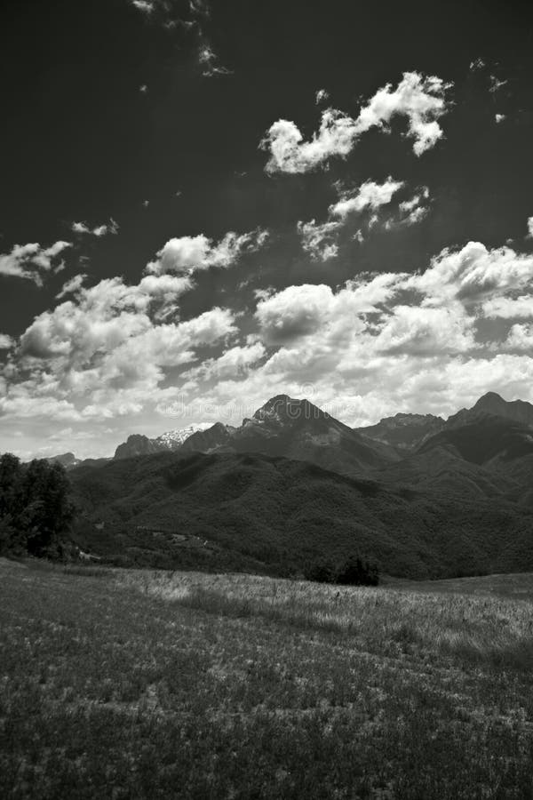 Mesmerizing Grayscale Shot of the Beautiful Landscape of the Green ...