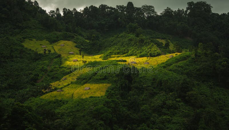 Mesmerizing Green Landscape of Dense Forests Over Mountains Stock Photo ...