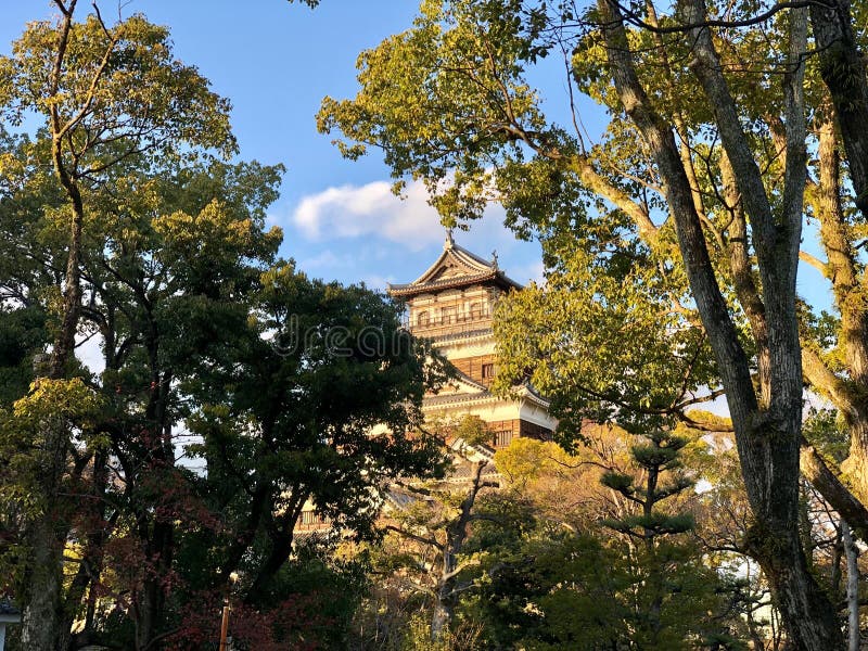 Mesmerizing Japanese Castle in a Forest Behind Trees Stock Photo ...