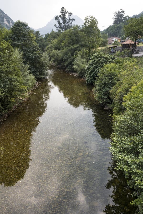 Mesmerizing Landscape of the Flowing River among Green Trees Under a ...