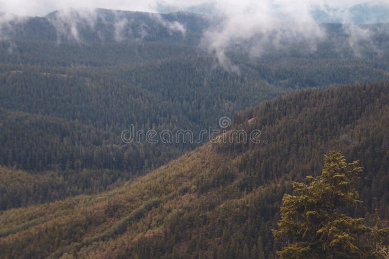Mesmerizing Landscape of Forested Mountains Stock Image - Image of hill ...