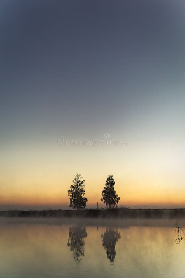 Mesmerizing Misty Lake Shore with Trees at Soft Sunrise in a Vertical ...