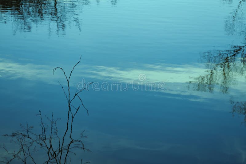 Mesmerizing Scene Lake or Pond with Wavy Reflections Tree Branches in ...