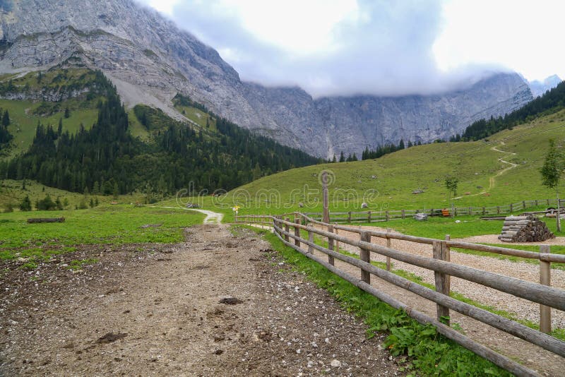 Mesmerizing Shot of Alpine Pastures and Meadows in the Austrian Alps ...