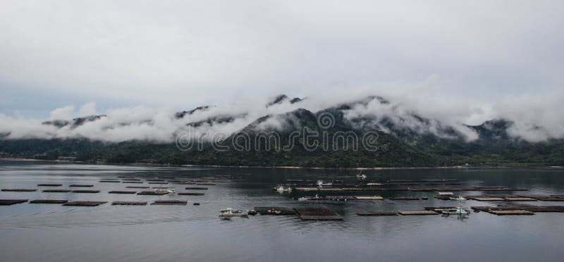 Mesmerizing Shot of the Beautiful Miyajima Island Stock Image - Image ...