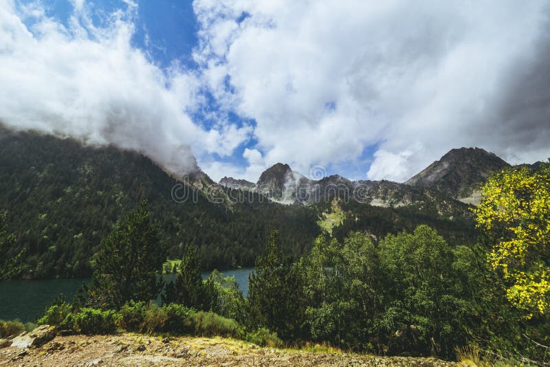 Mesmerizing Shot of Incredible Forests in Front of Mountains Under a ...