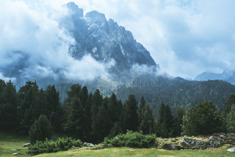 Mesmerizing Shot of Incredible Forests in Front of Mountains Under a ...