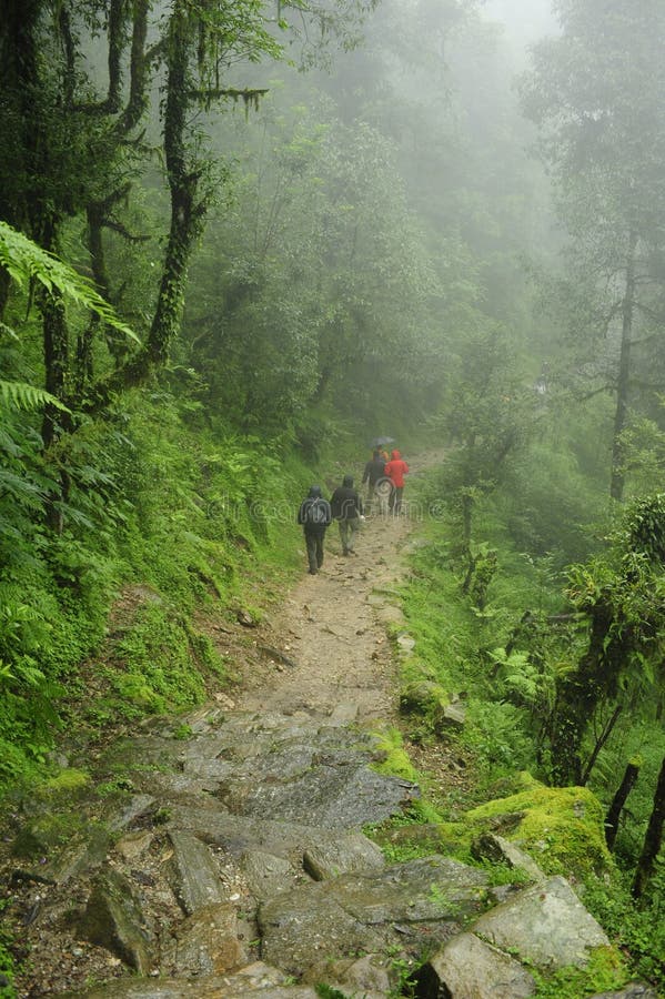 Mesmerizing Shot of People Walking in Pathway in the Mysterious Vibrant ...