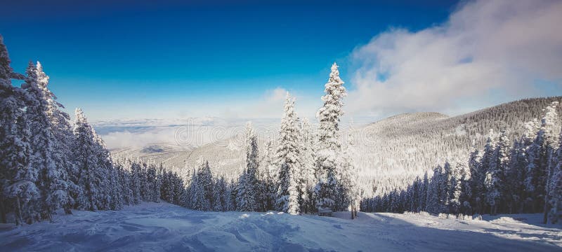 Mesmerizing Landscape of a Snowy Hillside on the Background of Forested ...