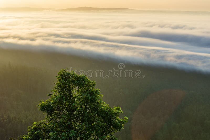 Mesmerizing Sunrise Over a Forest and a Blanket of Fog Stock Image ...