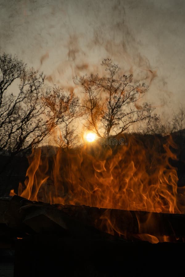 Fire foreground stock photo. Image of raging, fierce - 18648752