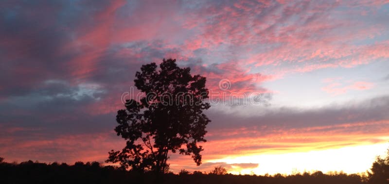 A Mesmerizing Sunset stock photo. Image of mesmerizing - 161026450