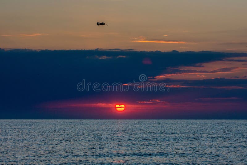 Mesmerizing Sunset Over the Ocean Stock Photo - Image of water, ocean ...