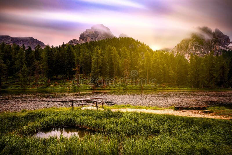 Mesmerizing Sunset Scene in a Fir Tree Forest and a Wood Pond Bridge ...