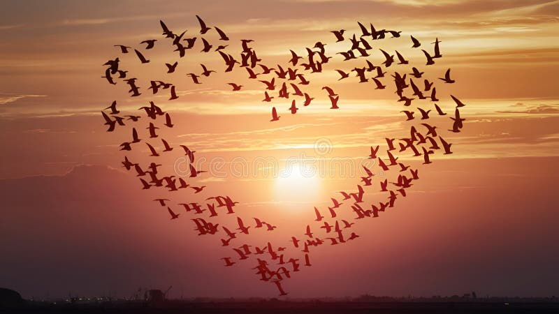 Love My Flock - Cute Flamingos with Palm Leaves Stock Vector ...