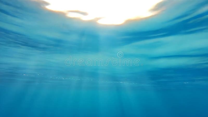 Mesmerizing Underwater View of Pristine Clear Blue Ocean Water with ...