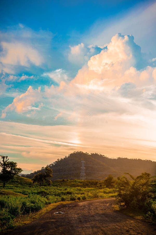 Mesmerizing Vertical View of a Soft Sunset in the Green Field with a ...