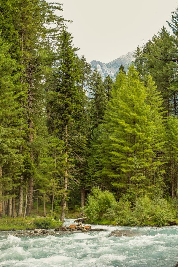 Mesmerizing View of a Beautiful Landscape, River of Kumrat Valley Stock ...