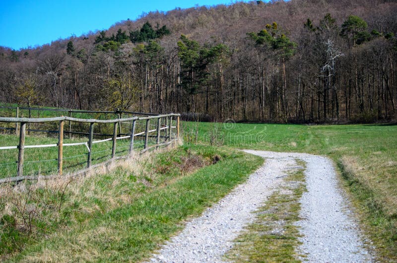 Mesmerizing View of a Beautiful Rural Area with Green Fields and Trees ...