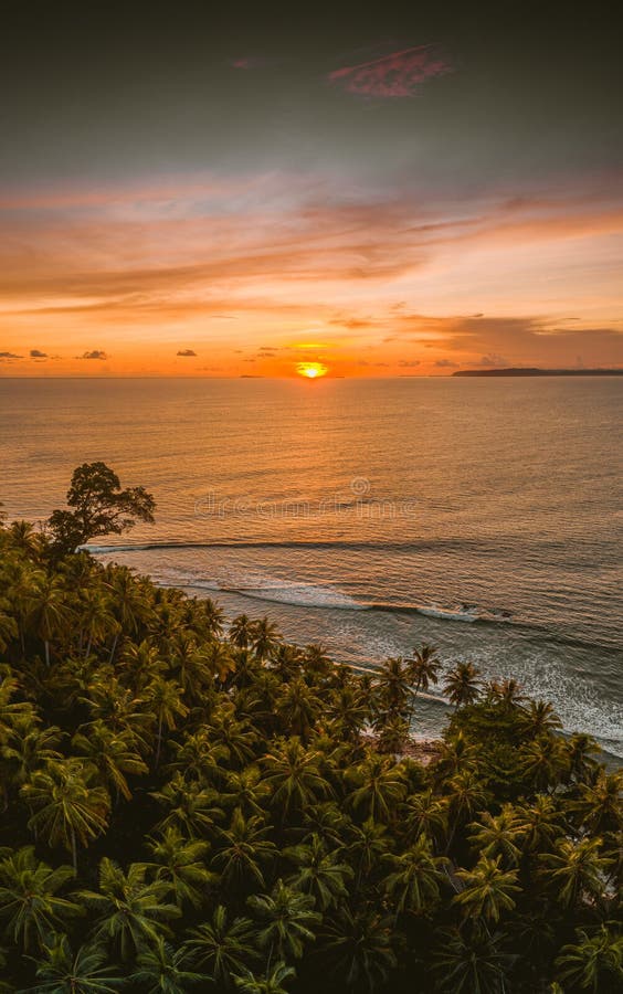 Mesmerizing View of the Calm Ocean and the Trees in the Shore during ...
