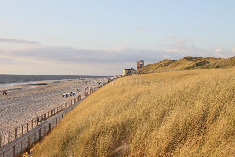 Mesmerizing View of Dune Grass with an Ocean during Sunset Stock Image ...