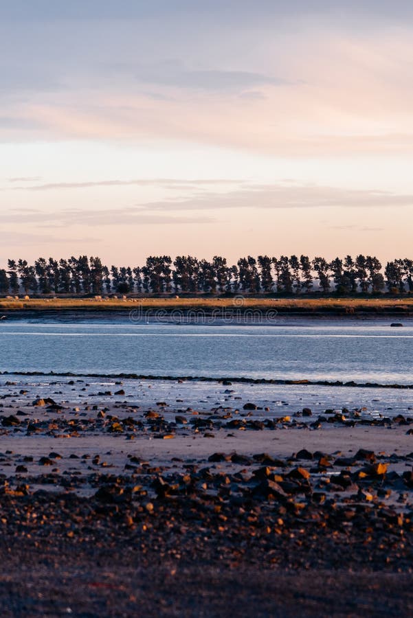 Mesmerizing View of the Flowing River Gleaming Under the Cloudy Sky ...