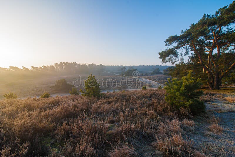 Mesmerizing View of the Landscape during Sunny Day Stock Image - Image ...